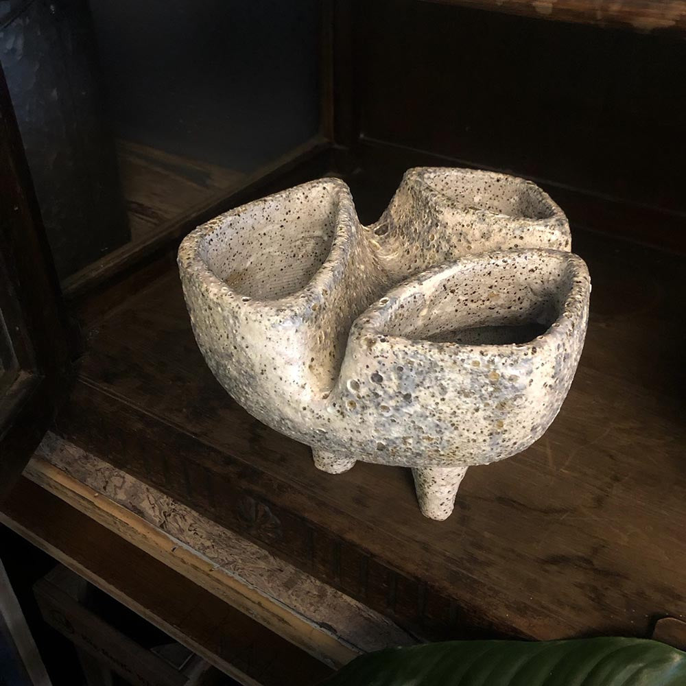 Subliminal Planter by Buzzby & Fang サブリミナルプランター – THE PLANT SOCIETY TOKYO